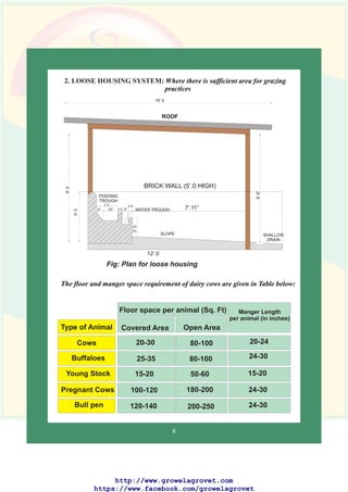 Dairy Farming Guide | PDF