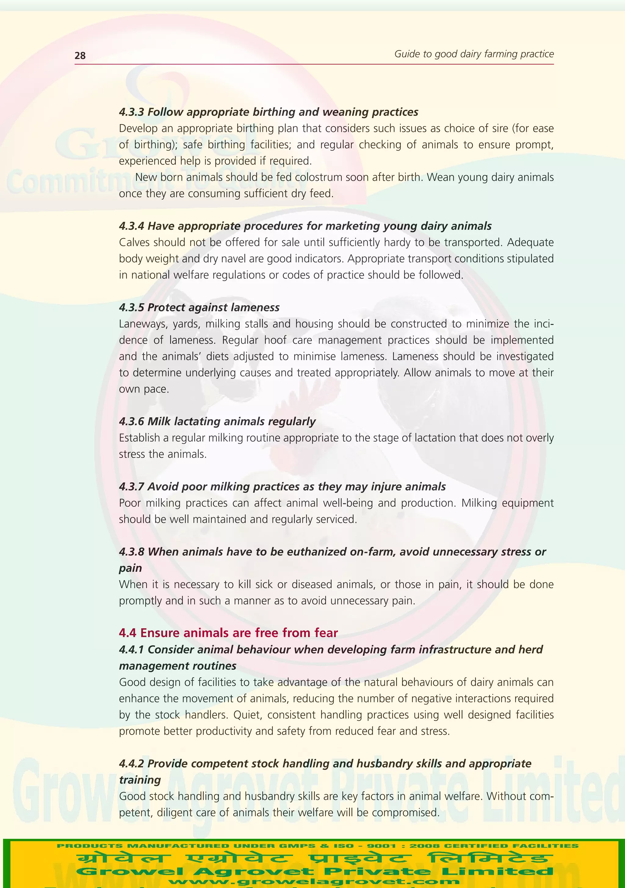 Dairy Farming Practice Guide | PDF