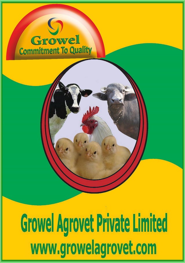 Dairy Farming Practice Guide | PDF