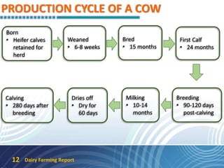 Dairy farming presentation | PPTX