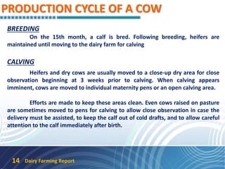 Dairy farming presentation | PPTX
