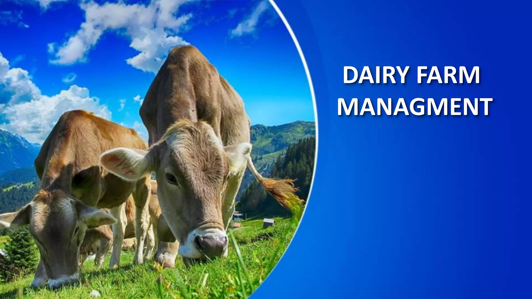 Dairy farm management | PPTX