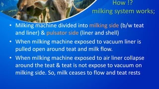 Dairy farm management | PPTX