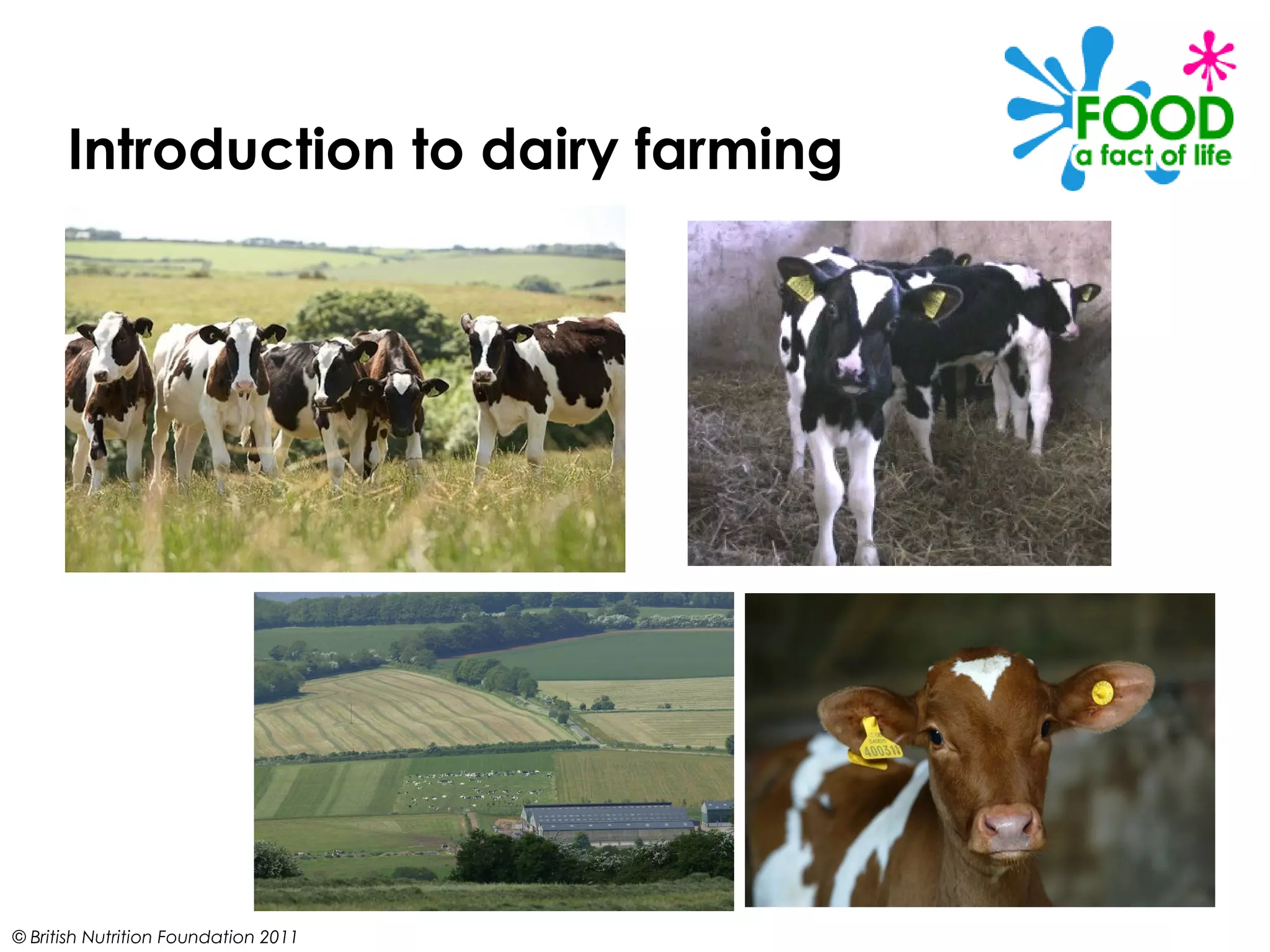 Dairy farm presentation | PPT