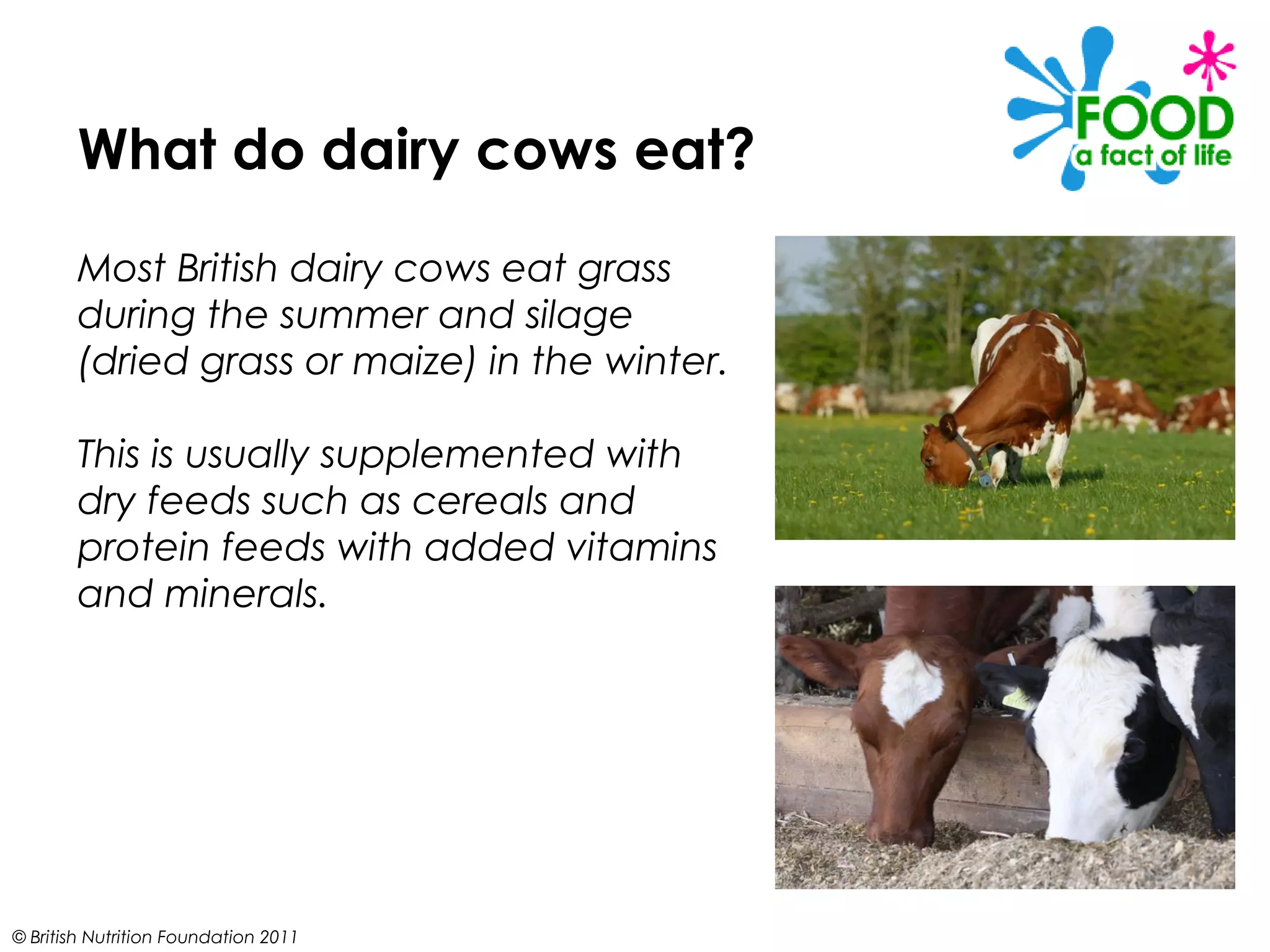 Dairy farm presentation | PPT