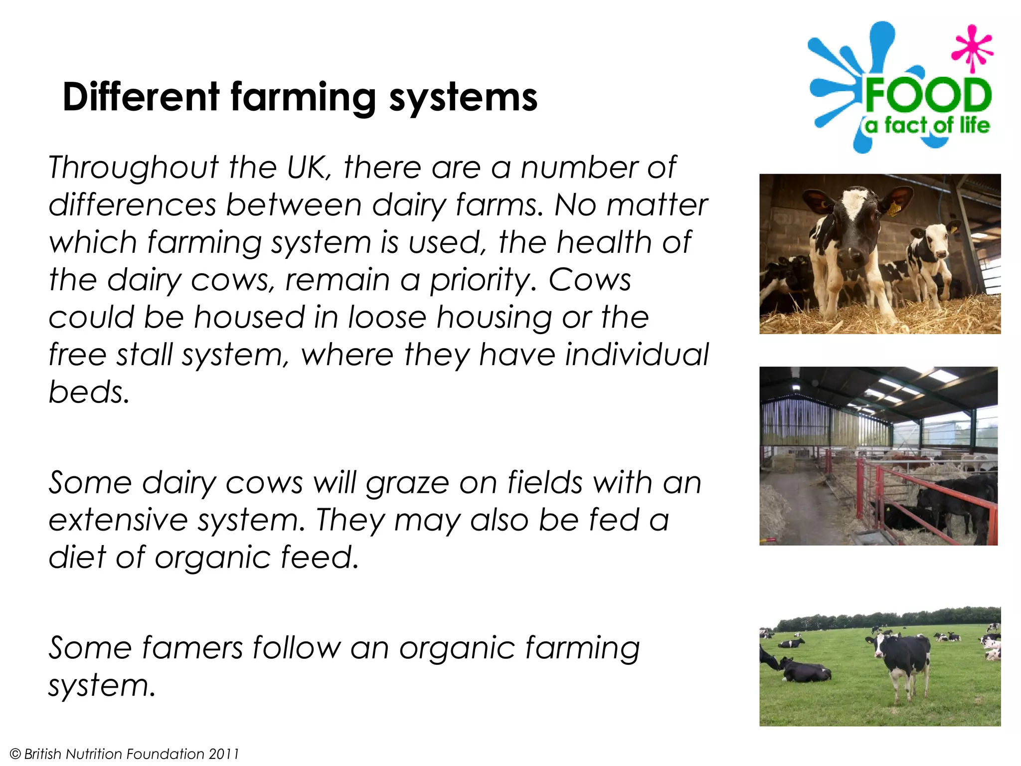 Dairy farm presentation | PPT
