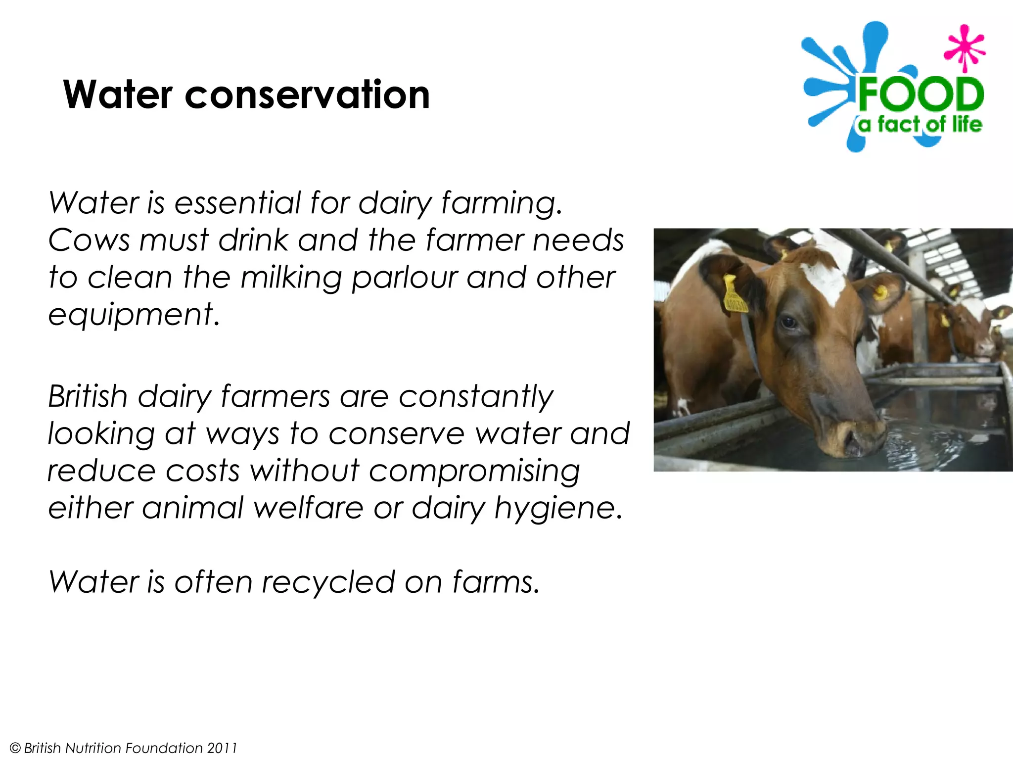 Dairy farm presentation | PPT