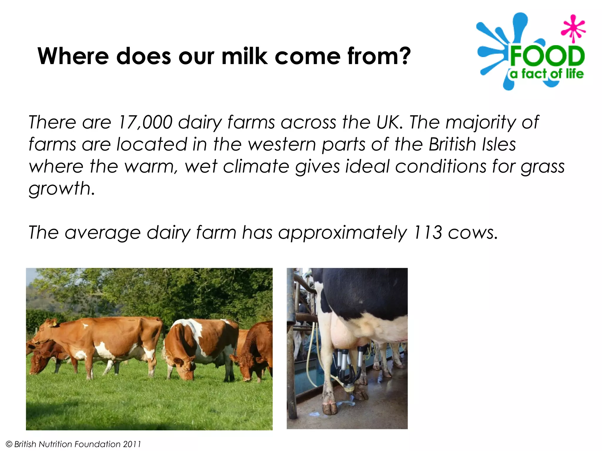 Dairy farm presentation | PPT