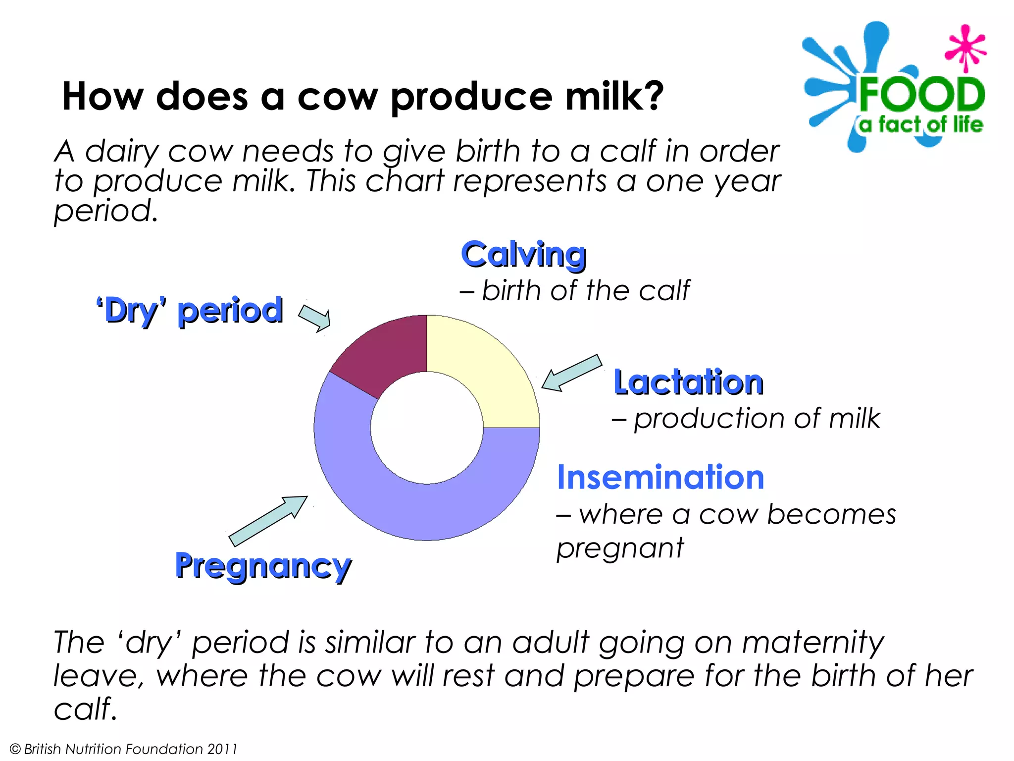Dairy farm presentation | PPT