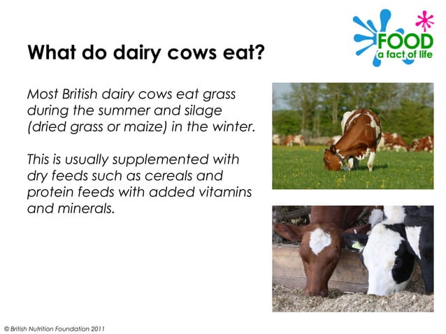 Dairy farm presentation | PPT