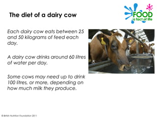 Dairy farm presentation | PPT