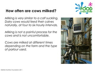 Dairy farm presentation | PPT
