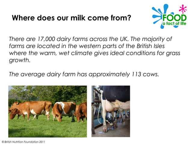 Dairy farm presentation | PPT