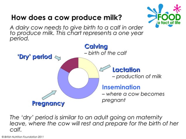 Dairy farm presentation | PPT