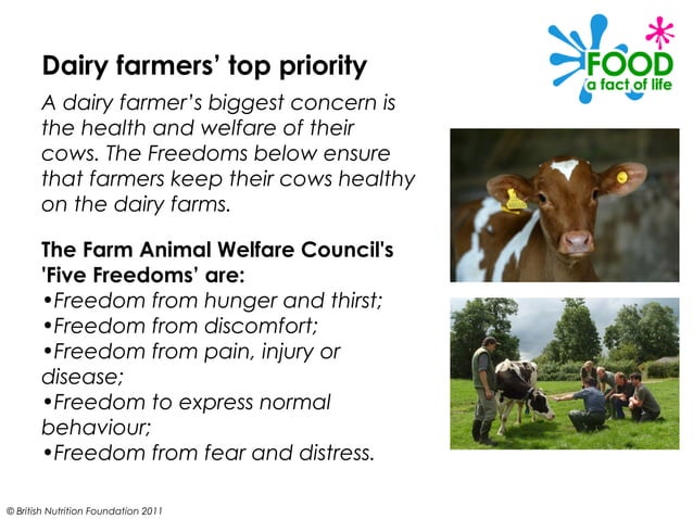 Dairy farm presentation | PPT