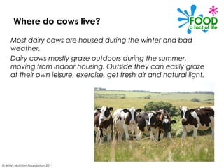 Dairy farm presentation | PPT
