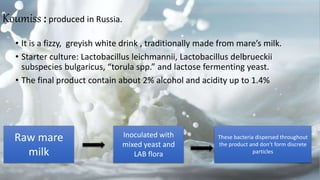 Dairy fermented products | PPTX