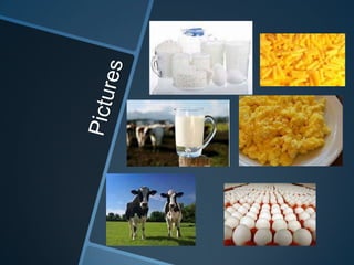 Dairy group | PPTX