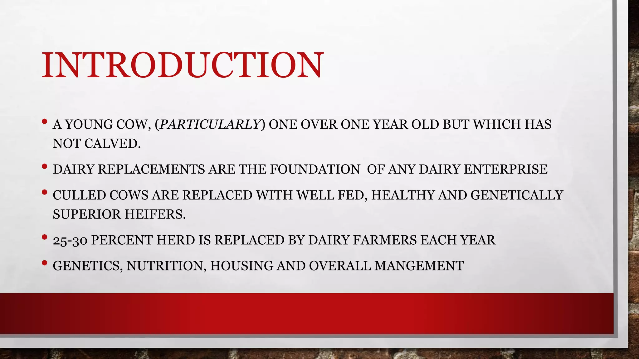Dairy Heifers’ Management | PPTX
