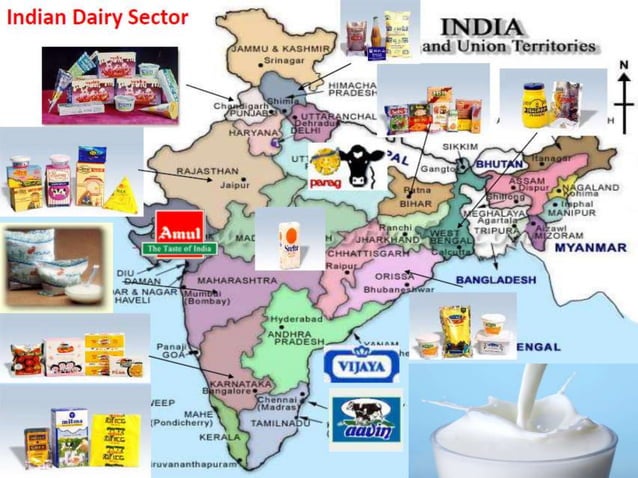 Dairy industry in india