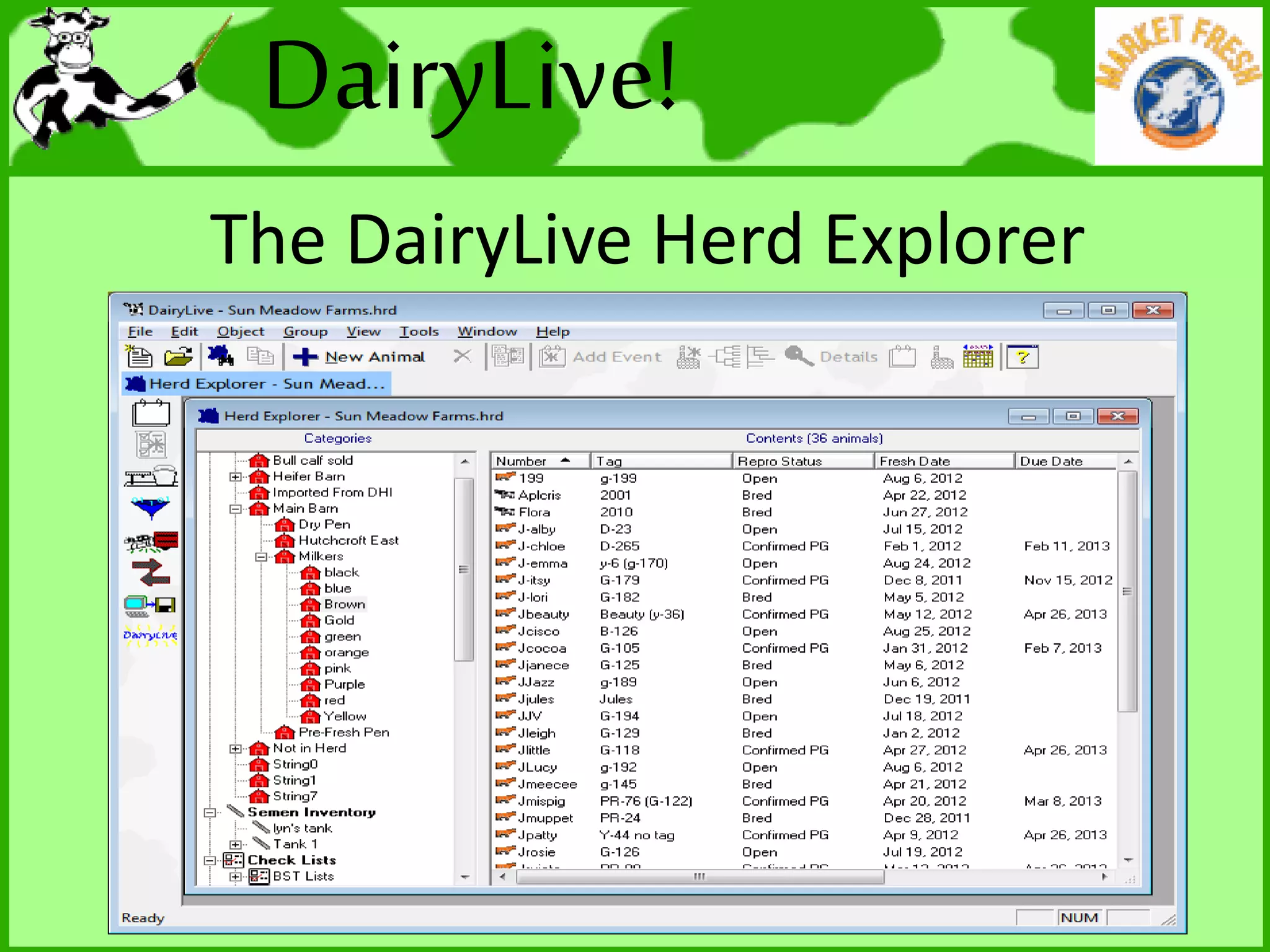 Dairylive presentation dairy farm management software | PDF