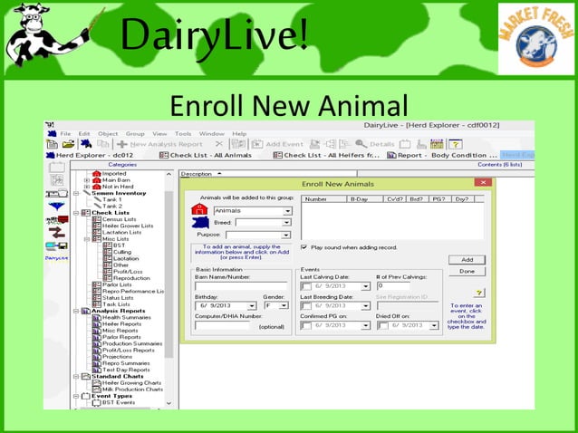 Dairylive presentation dairy farm management software | PPT