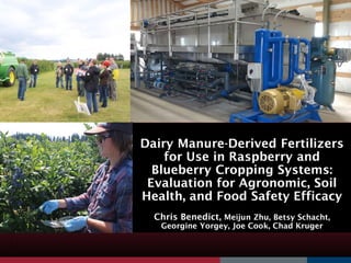 Dairy manure | PDF | Agriculture | Industries
