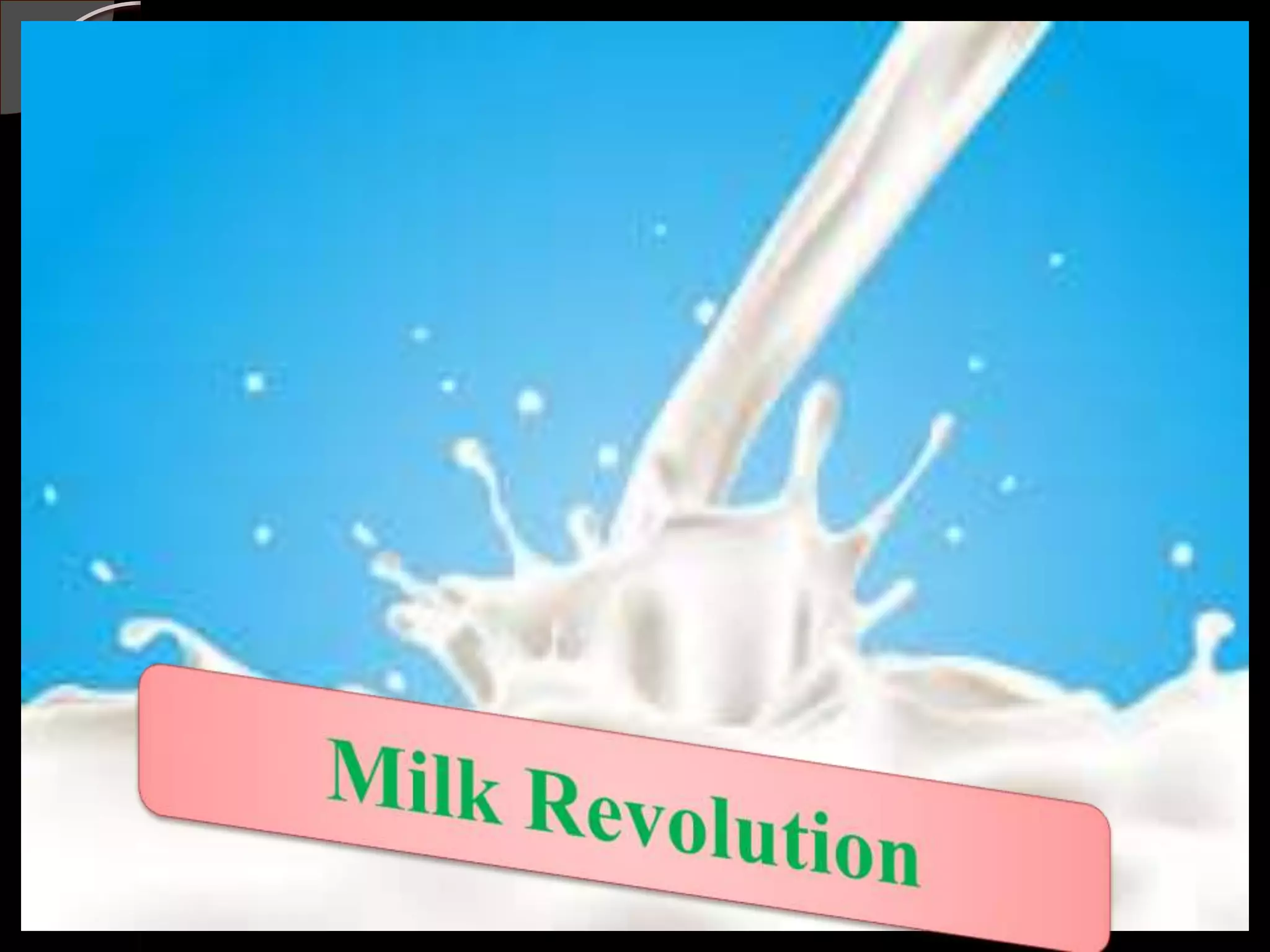 Dairy Market Presentation | PPTX