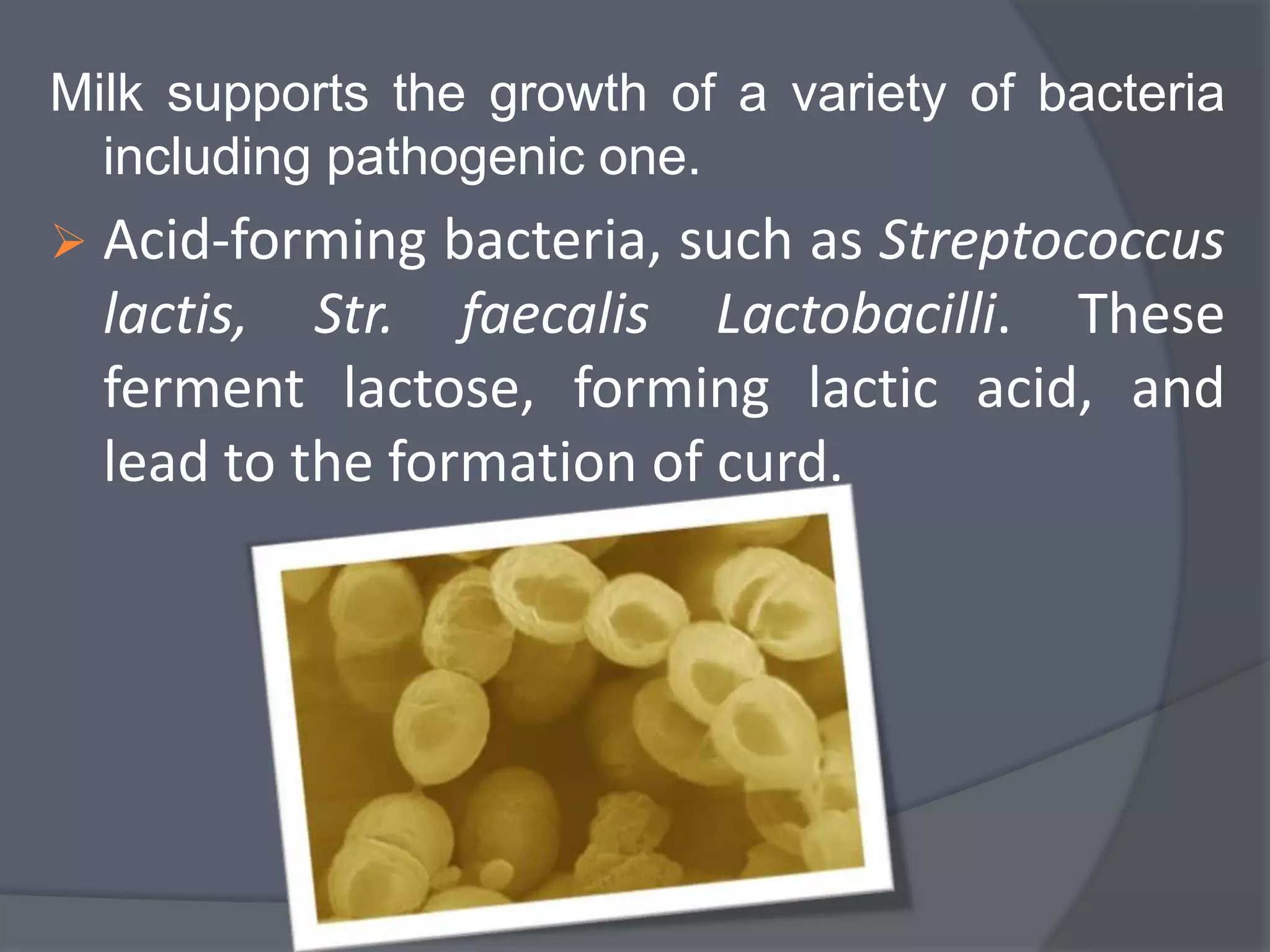 Study of Microorganism in Milk(Dairy microbiology) | PPTX