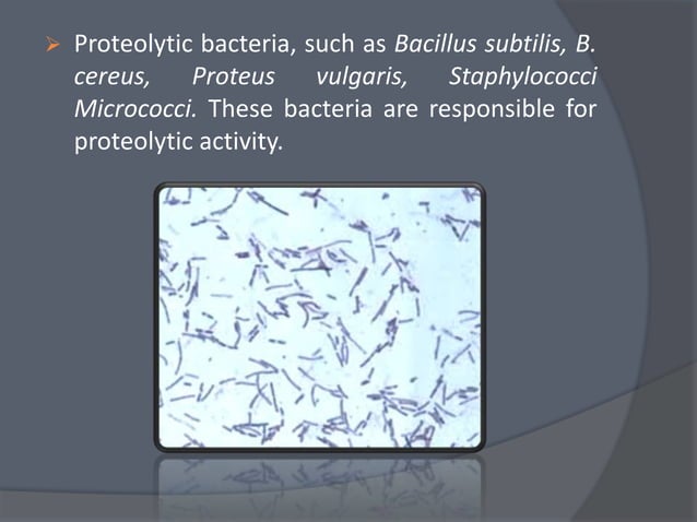 Study of Microorganism in Milk(Dairy microbiology) | PPTX