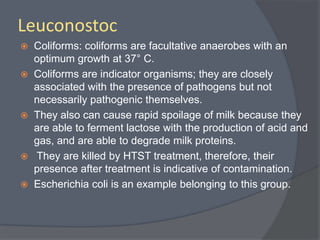 Study of Microorganism in Milk(Dairy microbiology) | PPTX