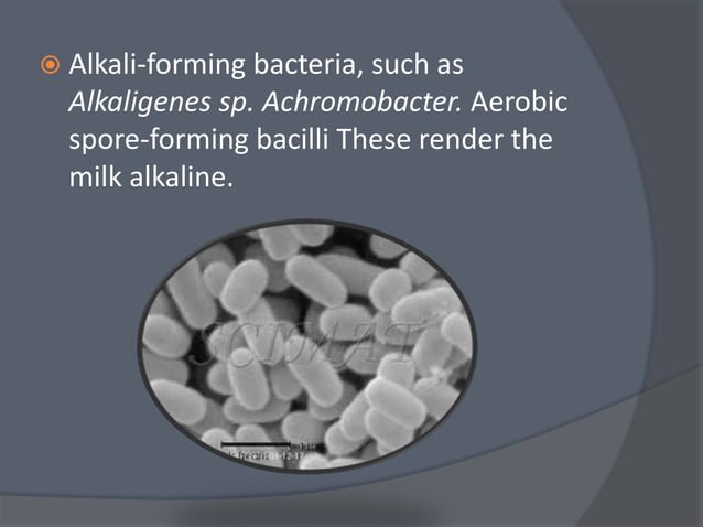 Study of Microorganism in Milk(Dairy microbiology) | PPTX
