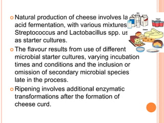 Dairy microbiology | PPTX