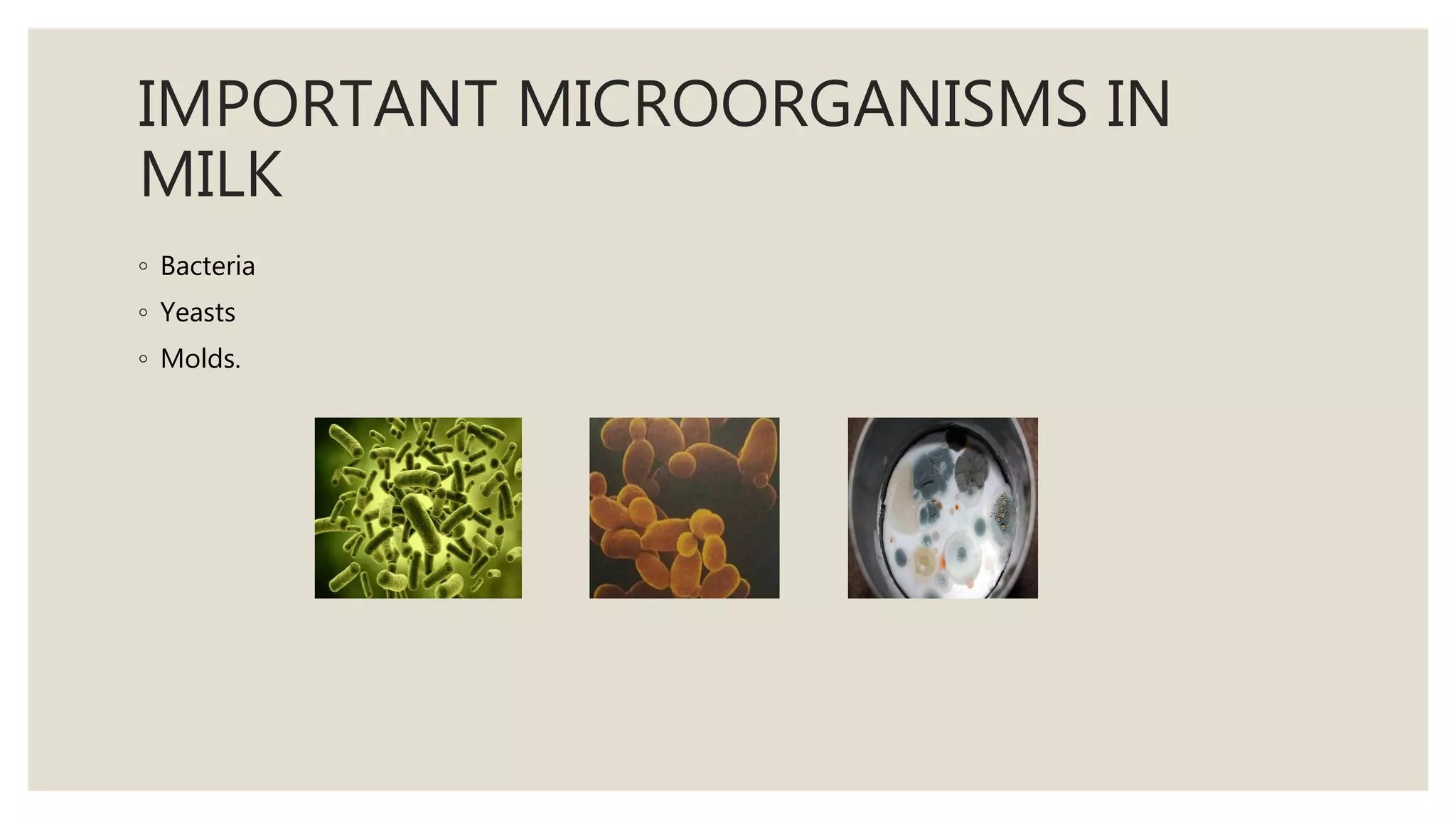 Dairy microbiology | PPTX