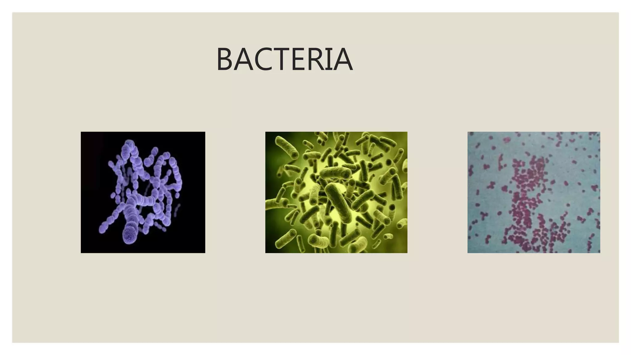 Dairy microbiology | PPTX