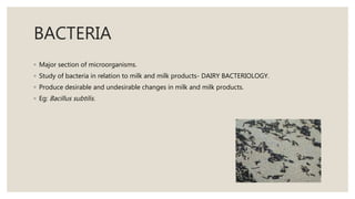 Dairy microbiology | PPTX