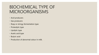 Dairy microbiology | PPTX