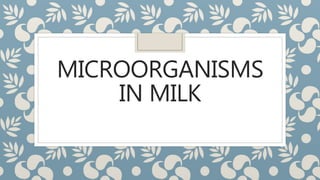 Dairy microbiology | PPTX
