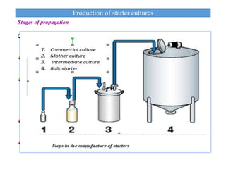 Dairy Microbiology Assignement E.pptx