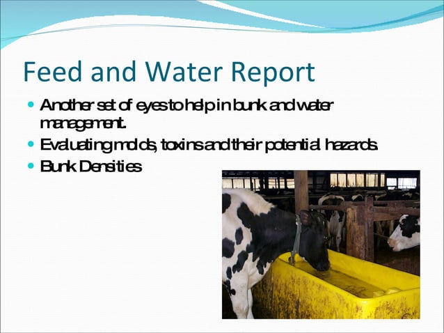 Dairy Presentation | PPT