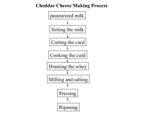 Dairy processing