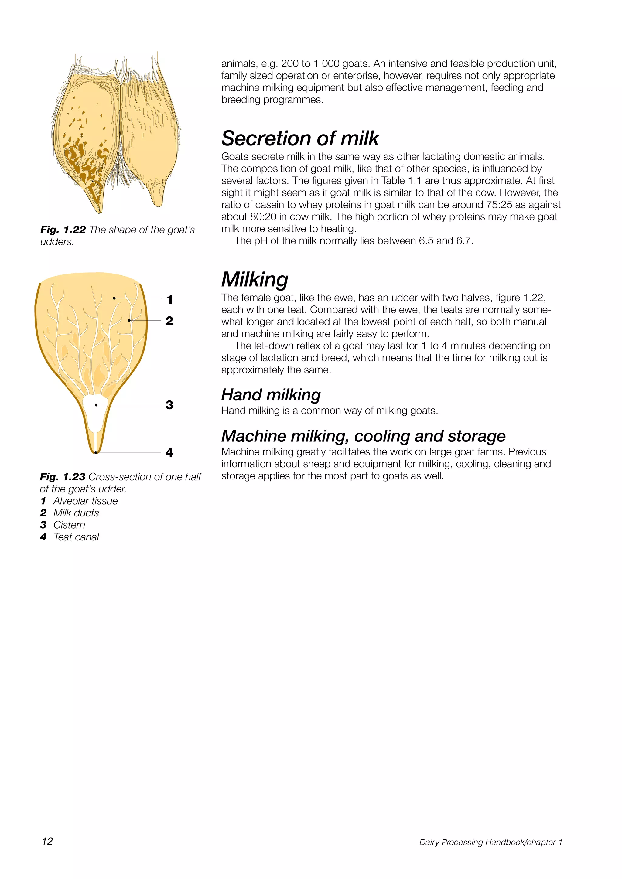 Dairy Processing Handbook.pdf