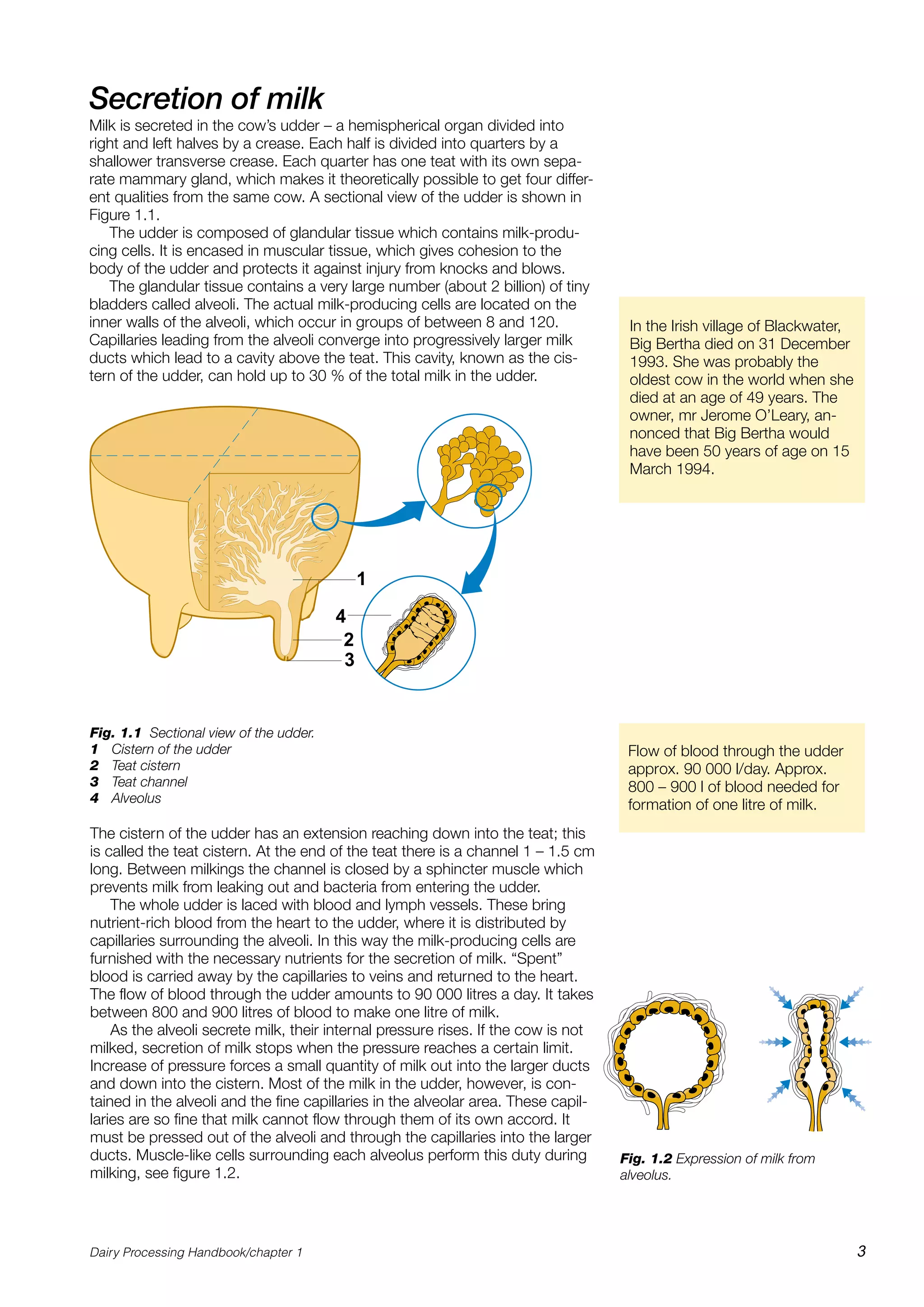 Dairy Processing Handbook.pdf