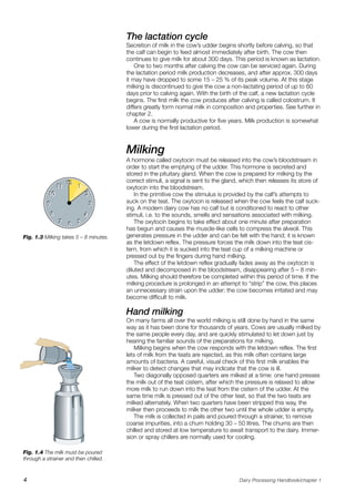 Dairy Processing Handbook.pdf