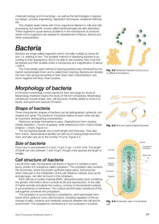 Dairy Processing Handbook.pdf