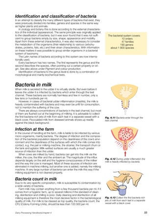 Dairy Processing Handbook.pdf
