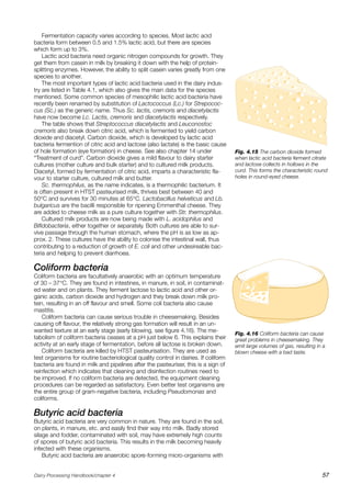 Dairy Processing Handbook.pdf