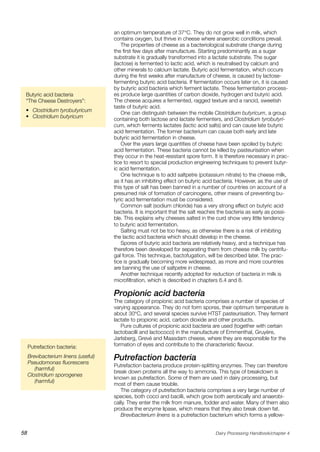 Dairy Processing Handbook.pdf