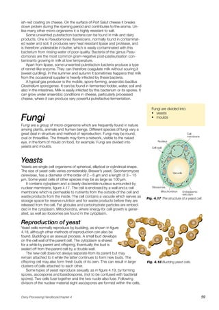 Dairy Processing Handbook.pdf