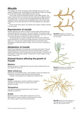 Dairy Processing Handbook.pdf